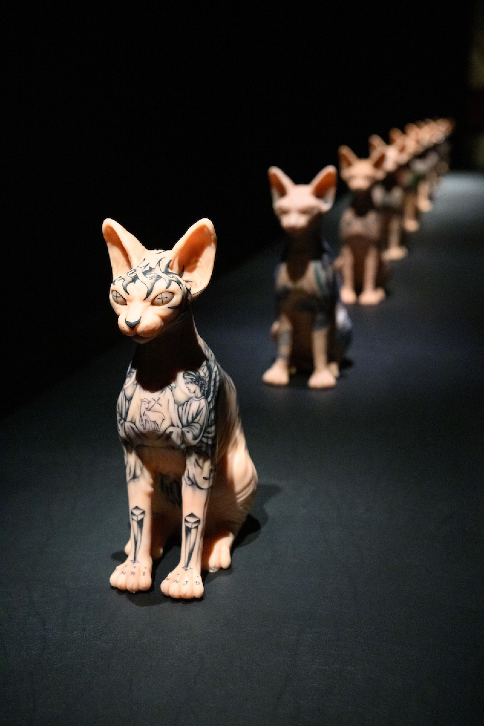 Flash Cats | The Dowse Art Museum