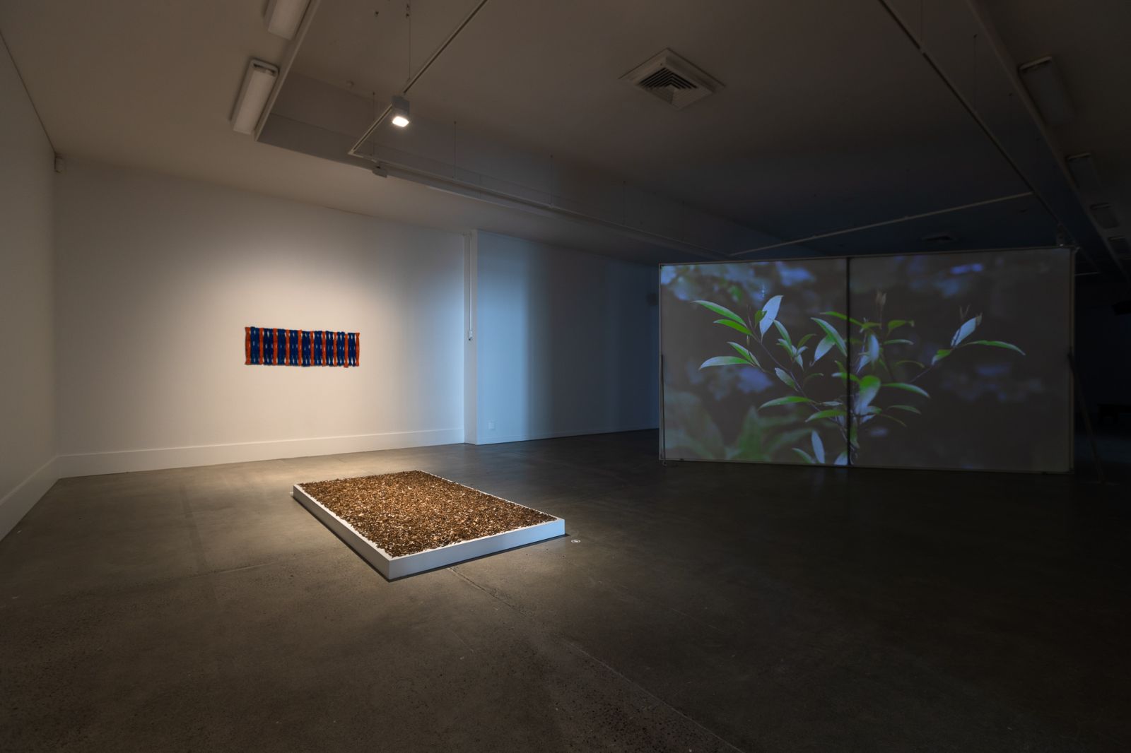 Read | The Dowse Art Museum