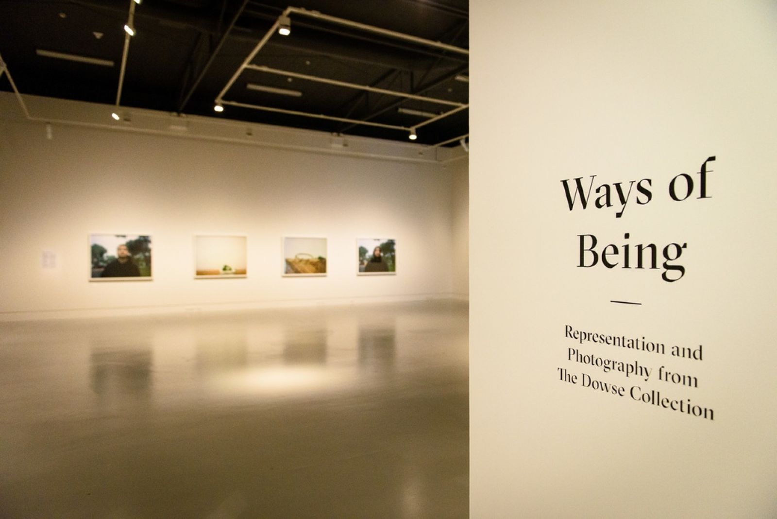 Ways of Being: Representation and Photography from The Dowse Collection ...