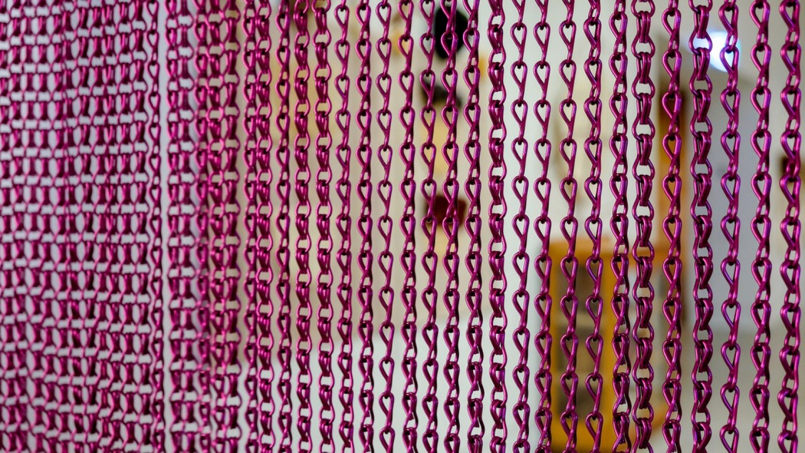 Read | The Dowse Art Museum