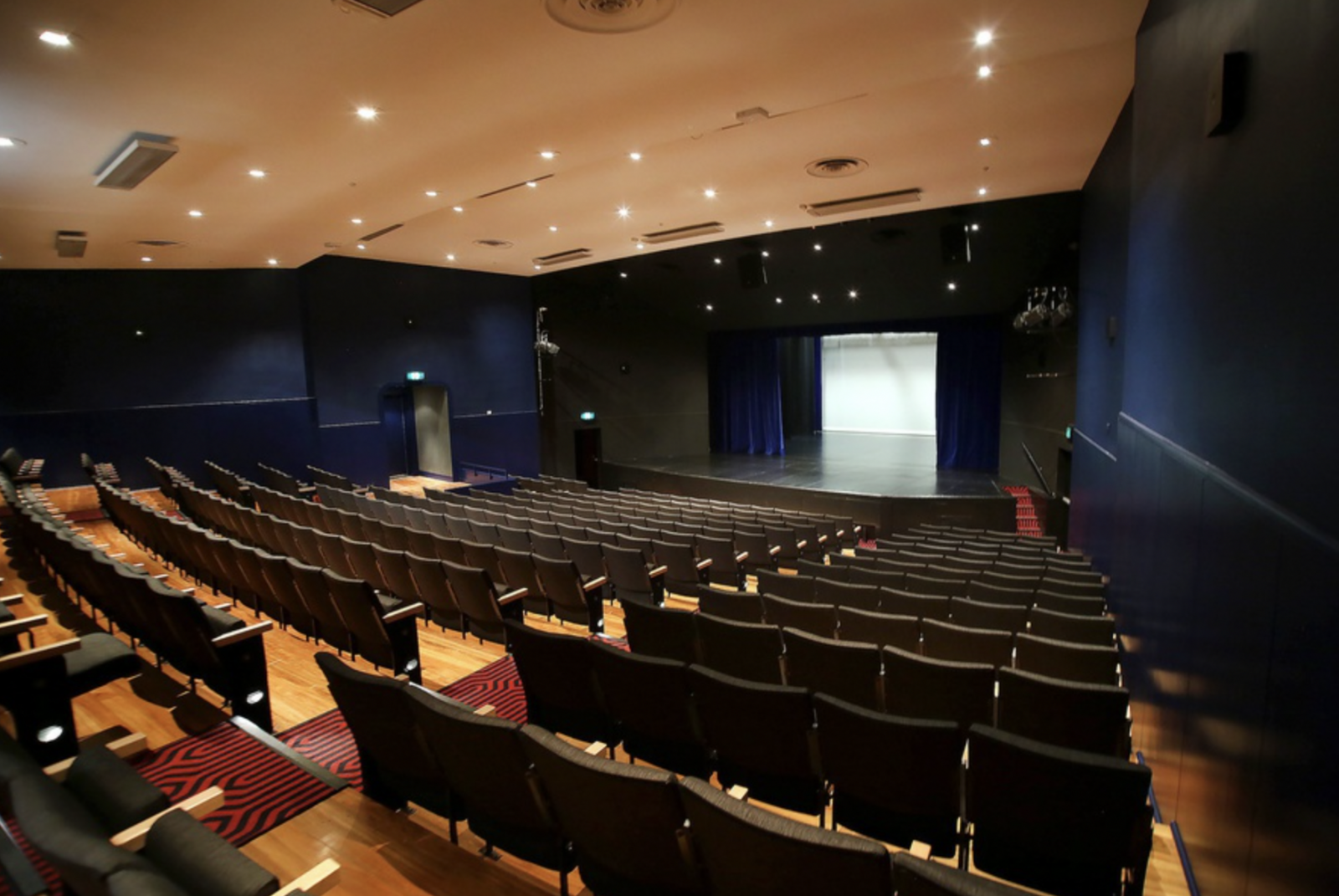 Little Theatre | The Dowse Art Museum